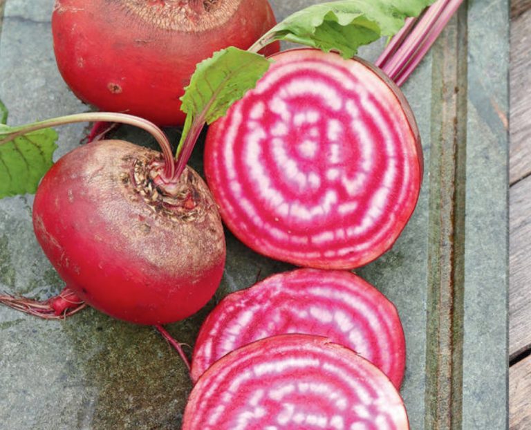 Multi-Colored Root Crop: Yellow, White And Striped Beets