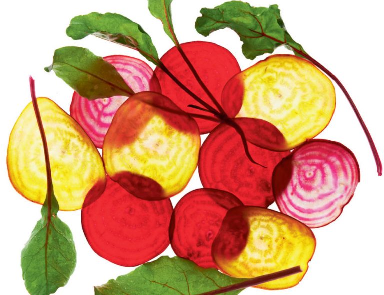 Multi-Colored Root Crop: Yellow, White And Striped Beets