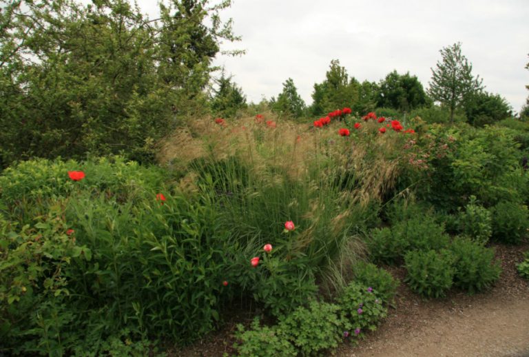 Principles Of Landscape Composition: Integrity, Hierarchy, Accents