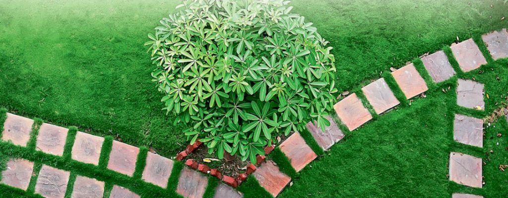 Garden Paths: Options For Convenient Routes