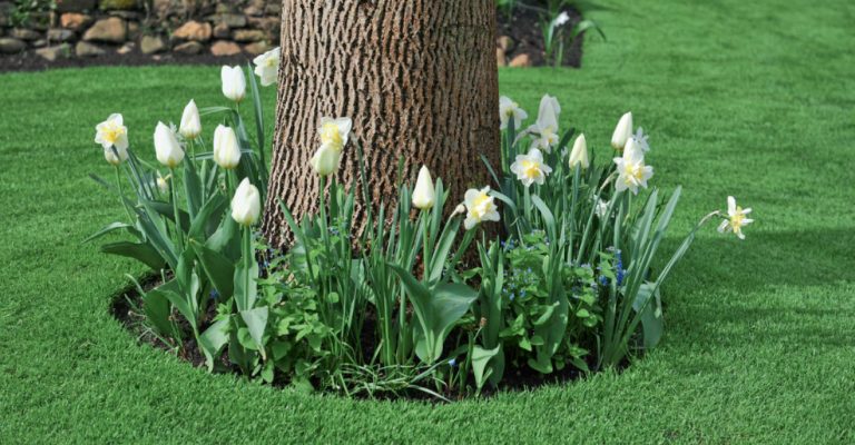 How To Plant Bulbous Plants Beautifully: 10 Design Ideas