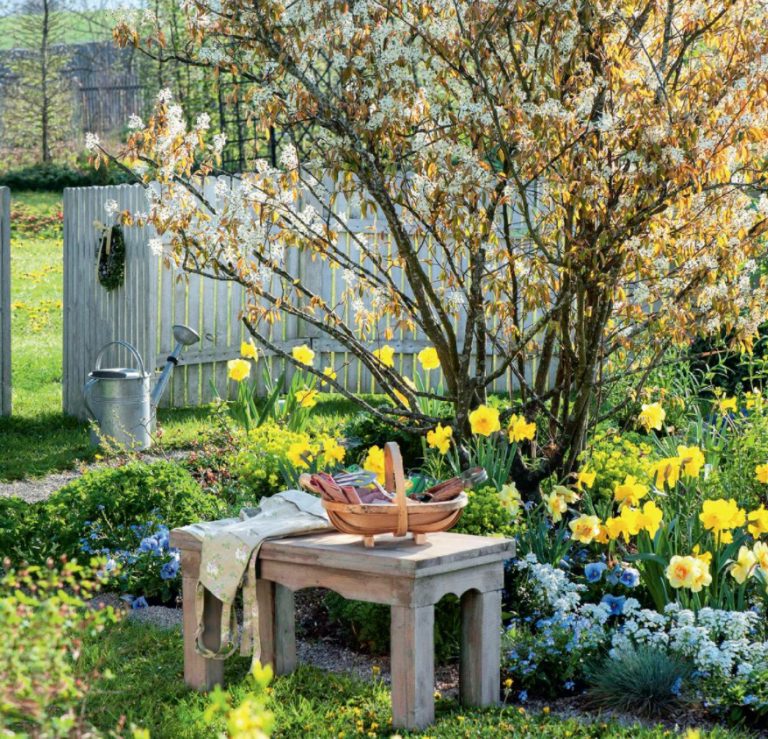 Ornamental Trees And Shrubs That Bloom In Spring