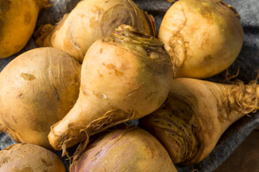 Rutabaga: The Most Interesting Varieties