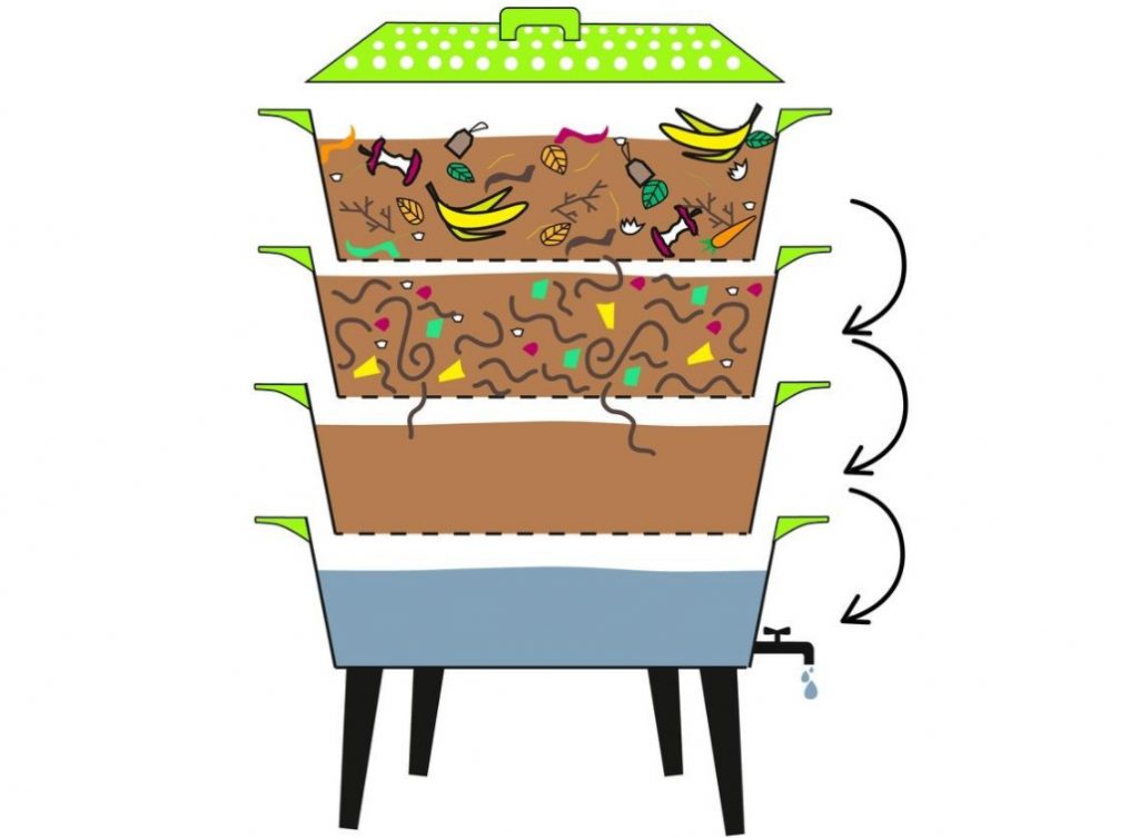 We Prepare Vermicompost From Food Waste At Home (Part 2)