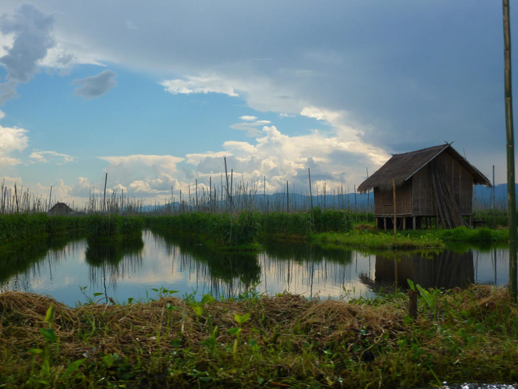 Floating Gardens And Vegetable Gardens: How To Farm In Unusual Conditions