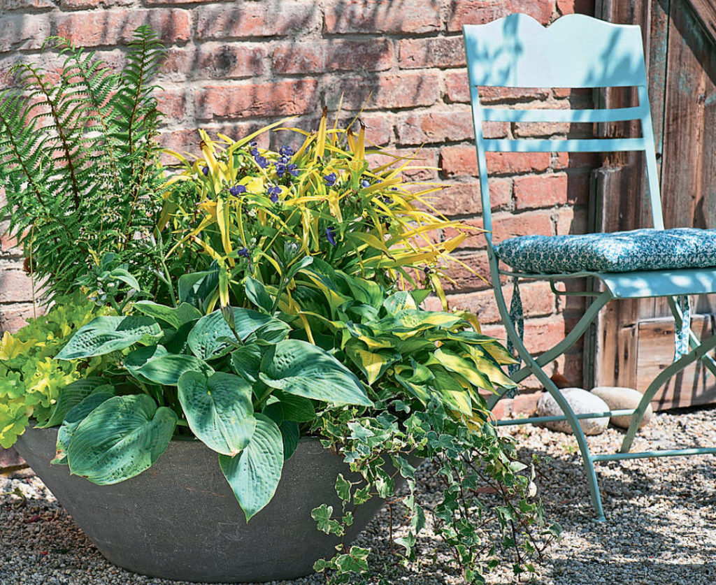 Flower Beds In Containers: Planting Schemes