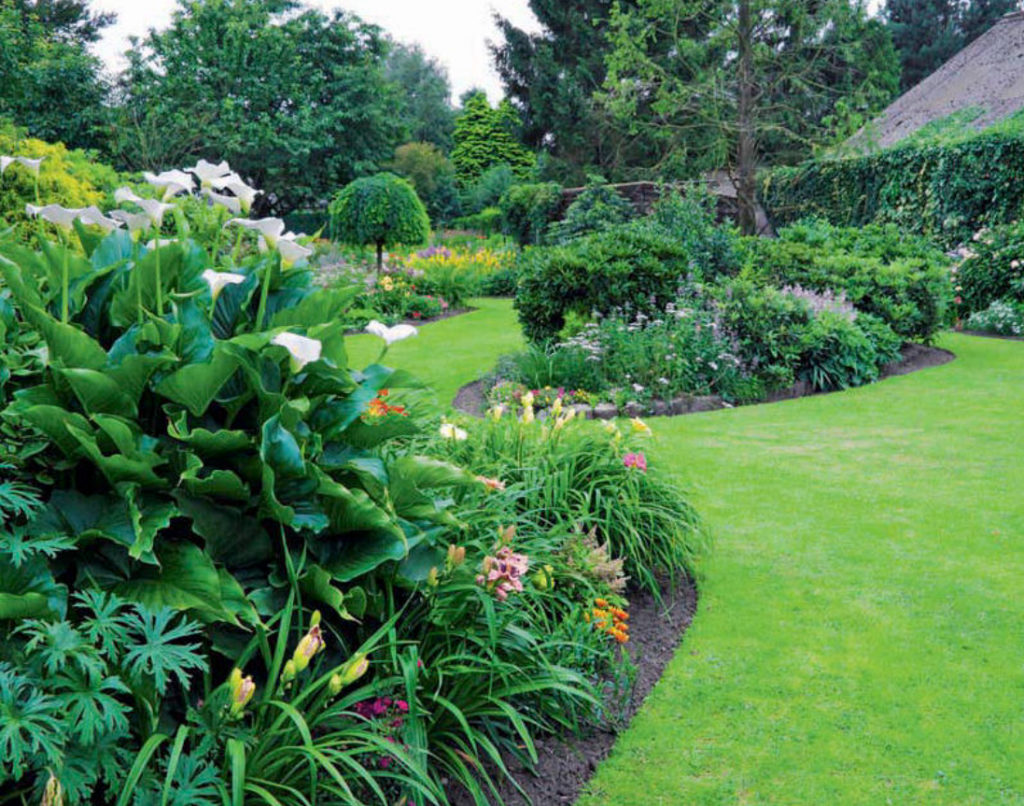 How To Decorate The Lawn And The Space Around The Green Lawn