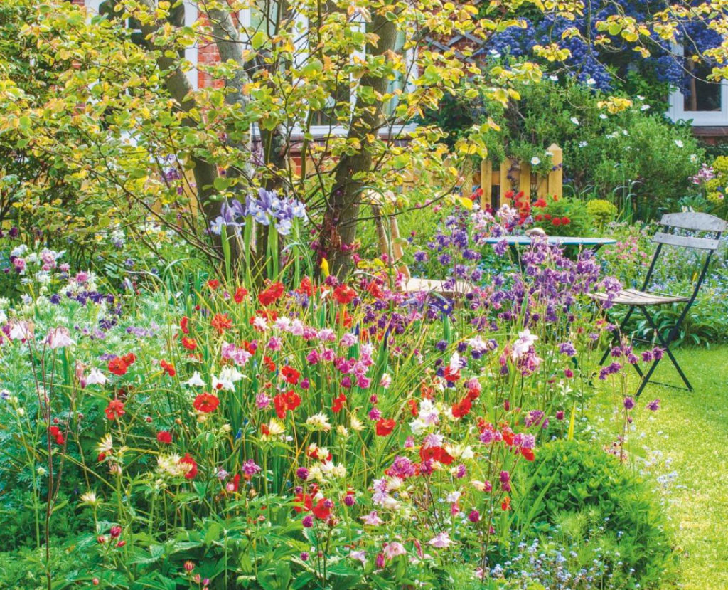 Graceful Geum: Valuable Tips On Planting And Care