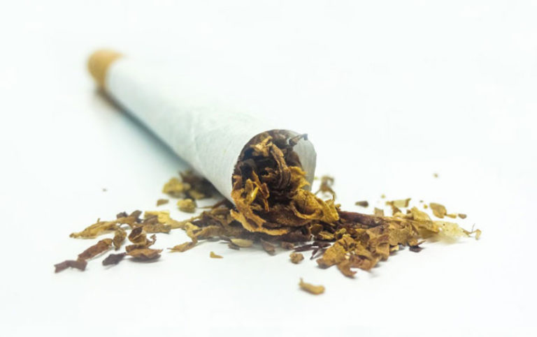 Tobacco Dust In The Garden And Vegetable Garden: How To Use Against ...