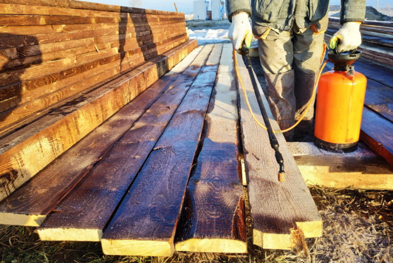 Bugs In The House: How To Protect Wooden Buildings From Pests