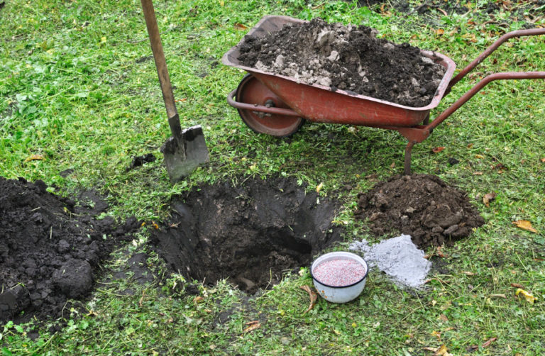 Dolomite Flour: How To Use It Correctly In The Garden And Vegetable ...