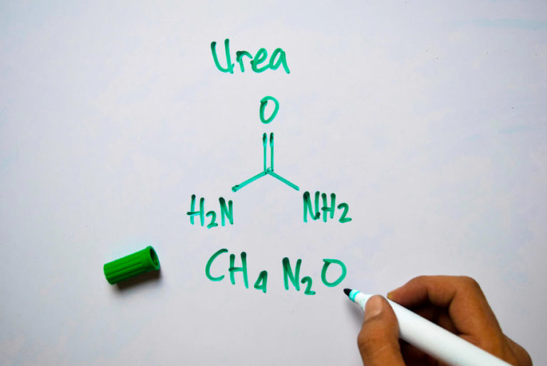 Urea Top Dressing: When And How Much To Apply